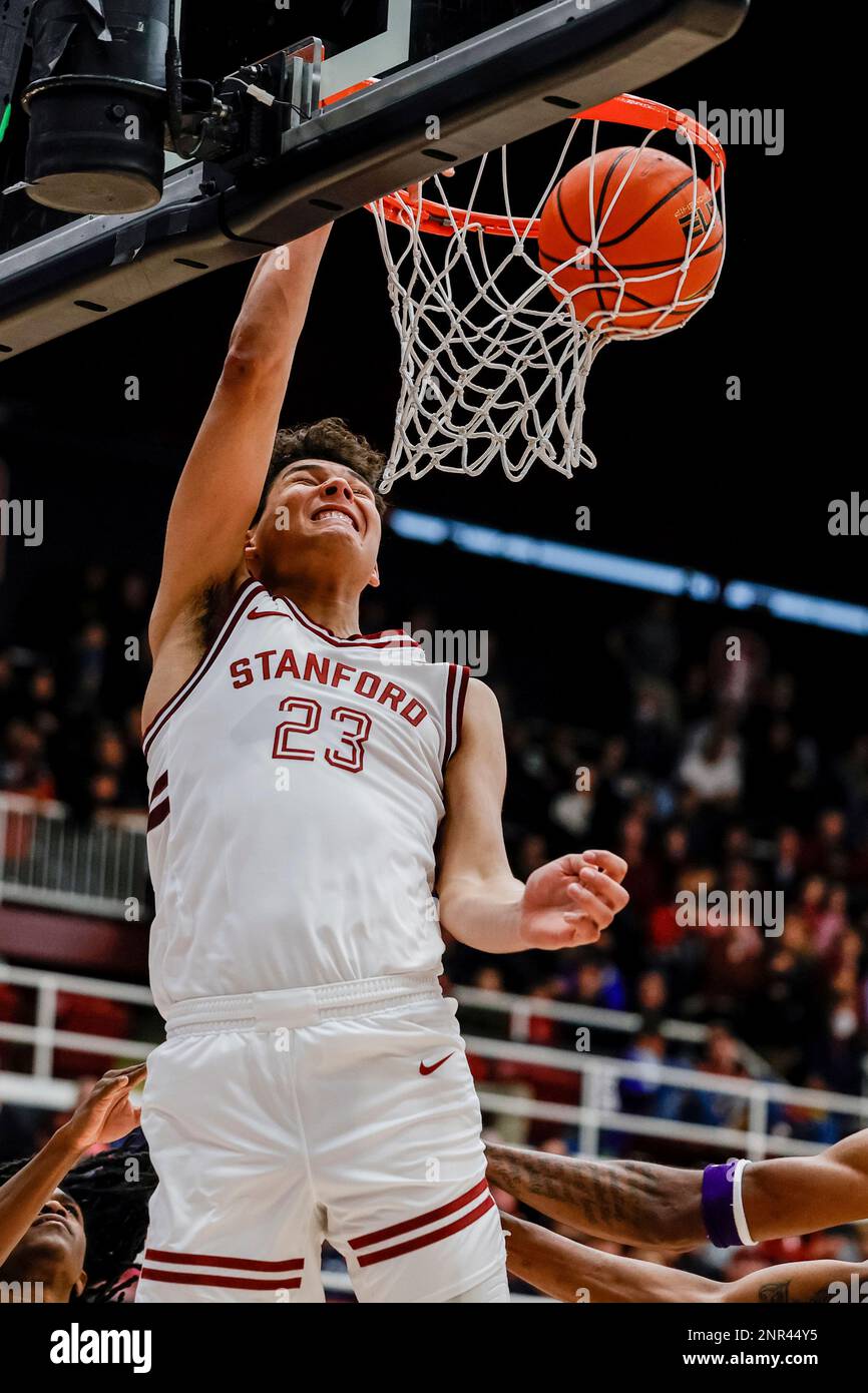 Stanford Cardinal Basketball Logo