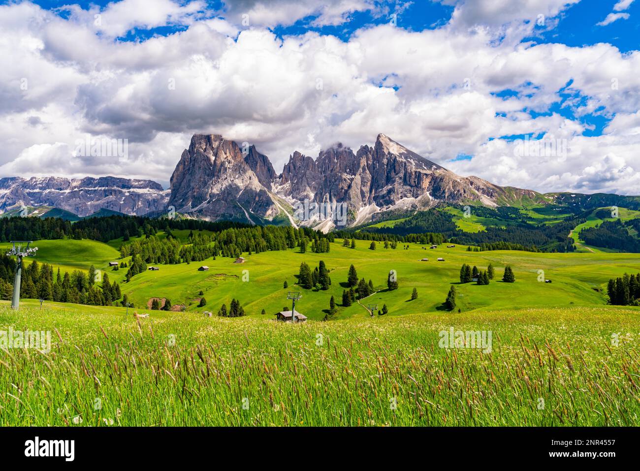 View of Langkofel group in Italian Dolomite Mountain and the Alpine ...