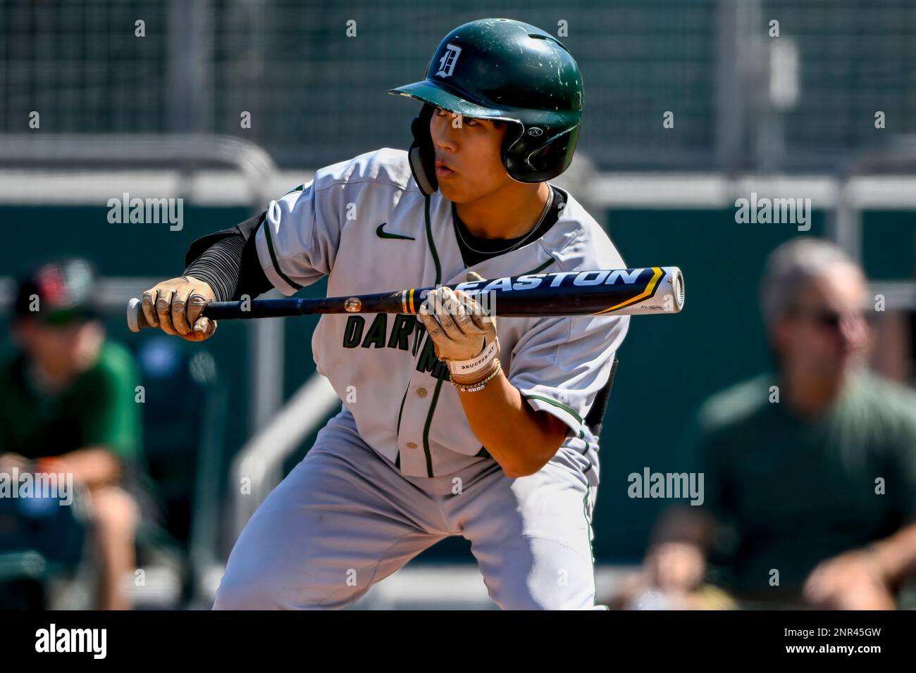 Dartmouth outfielder Nico Bañez bunts during an NCAA baseball game ...