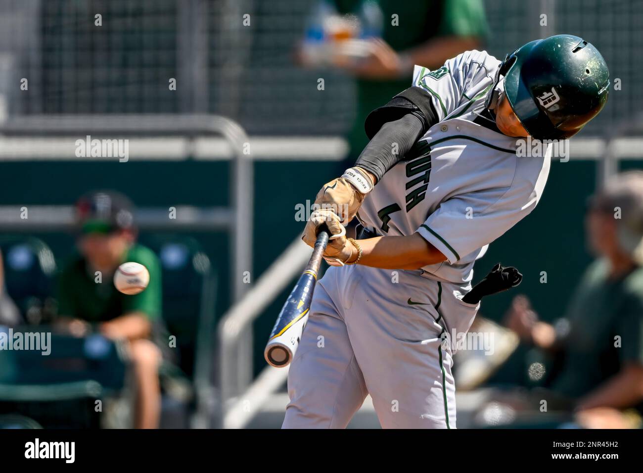 Dartmouth outfielder Nico Bañez bats during an NCAA baseball game ...