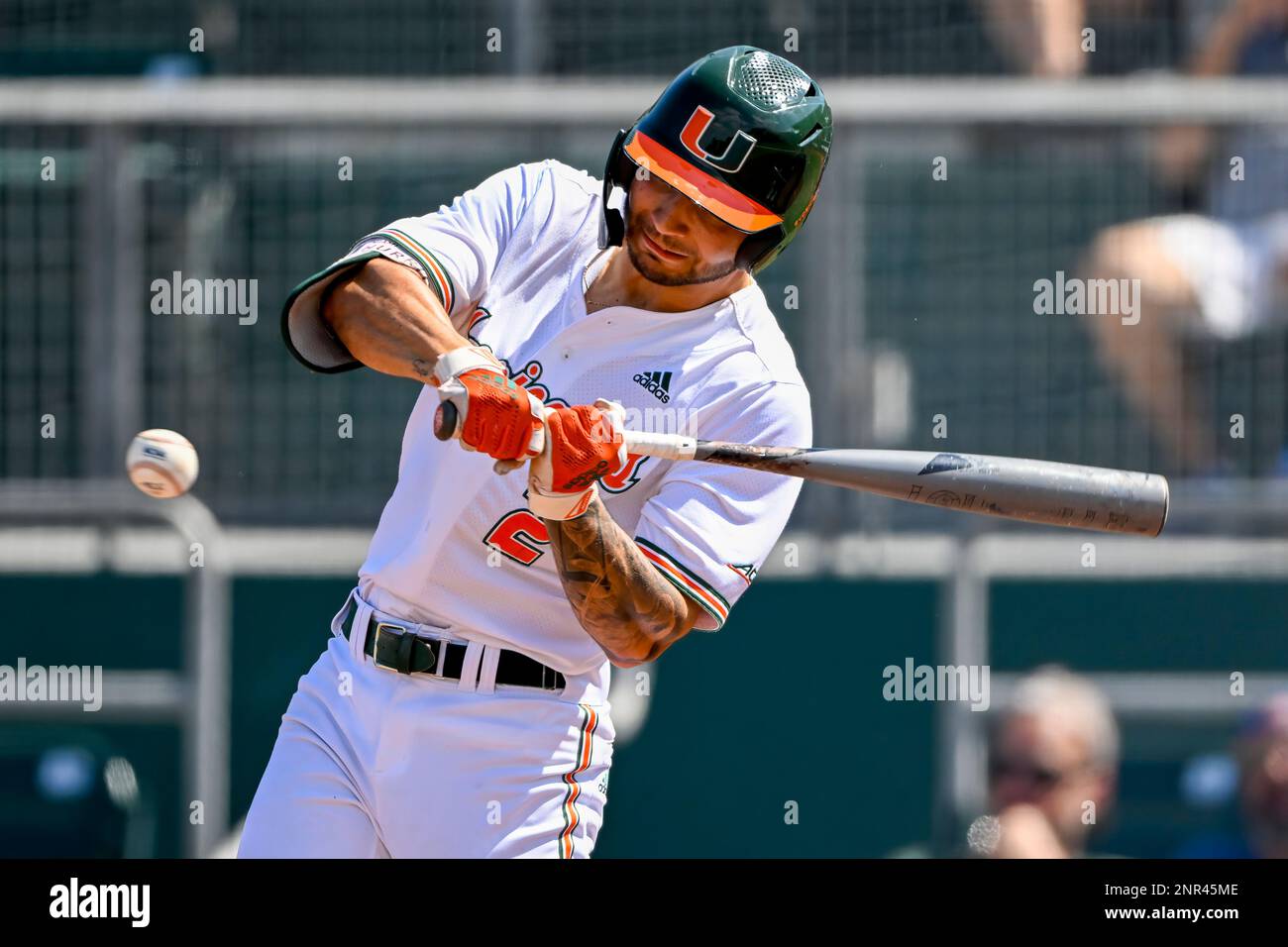 Miami infielder Dominic Pitell bats during an NCAA baseball game ...