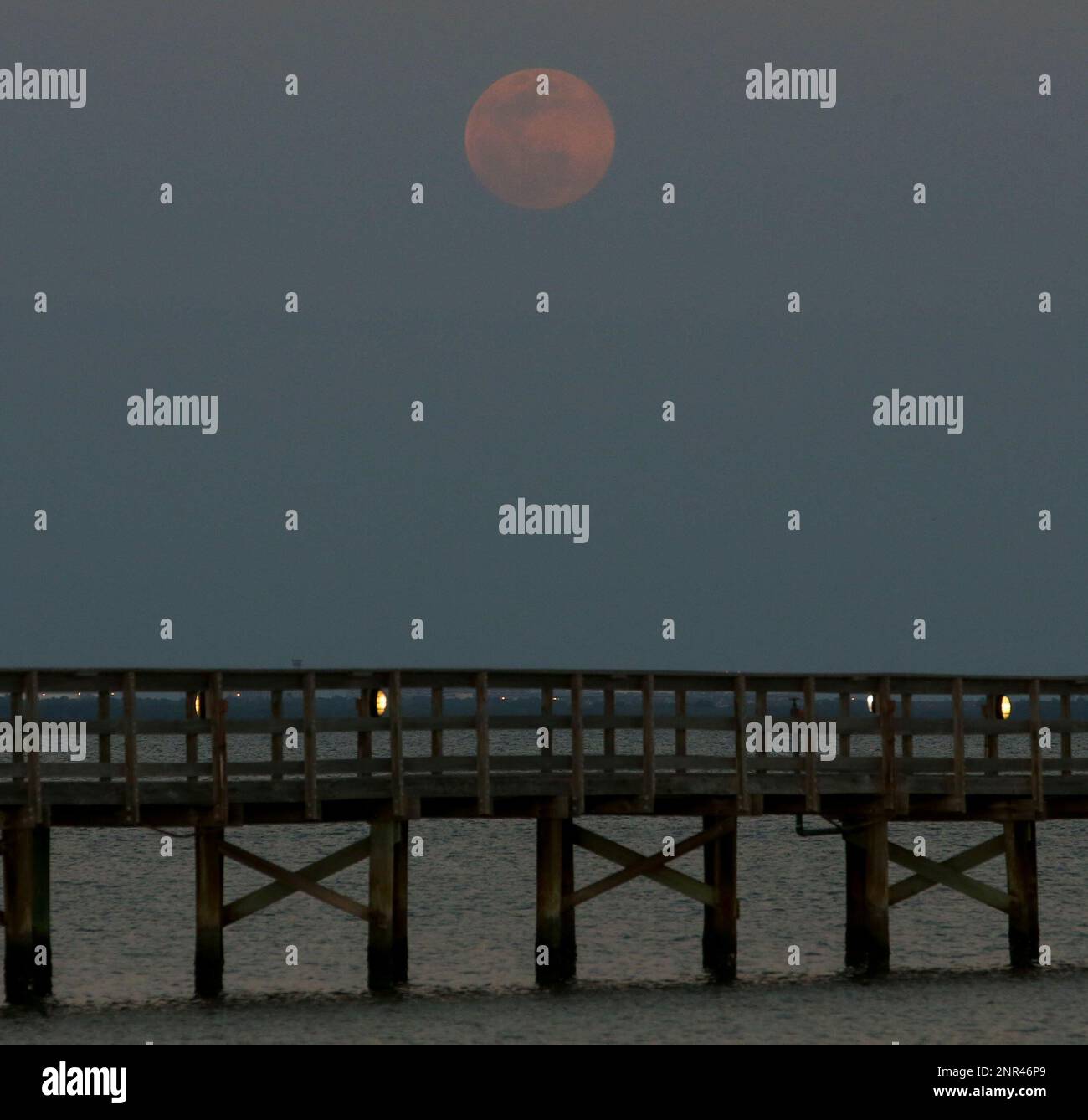 The supermoon, also known as the pink moon, rises in Safety Harbor, Fla ...
