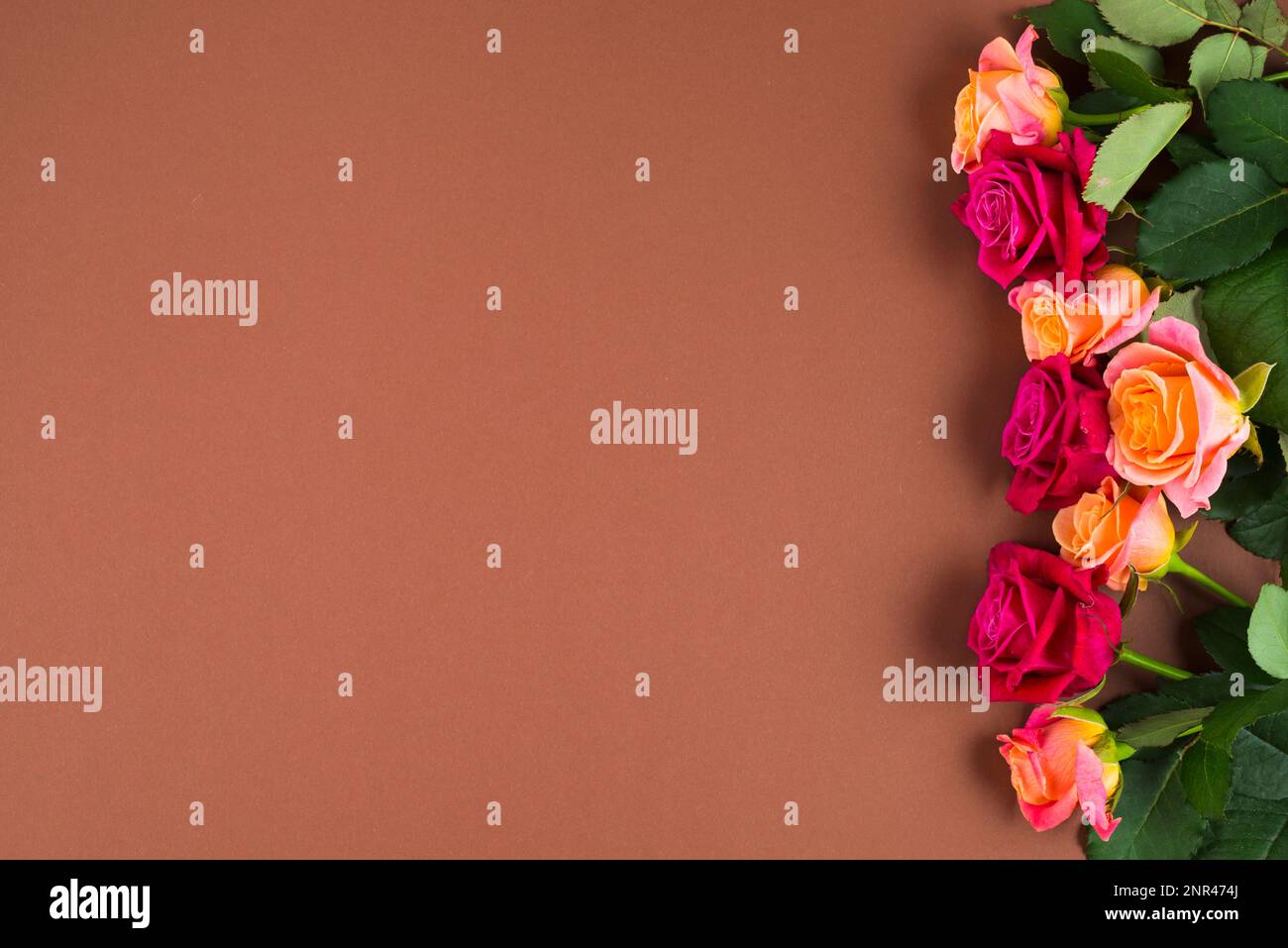 High resolution calligraphy hi-res stock photography and images - Alamy