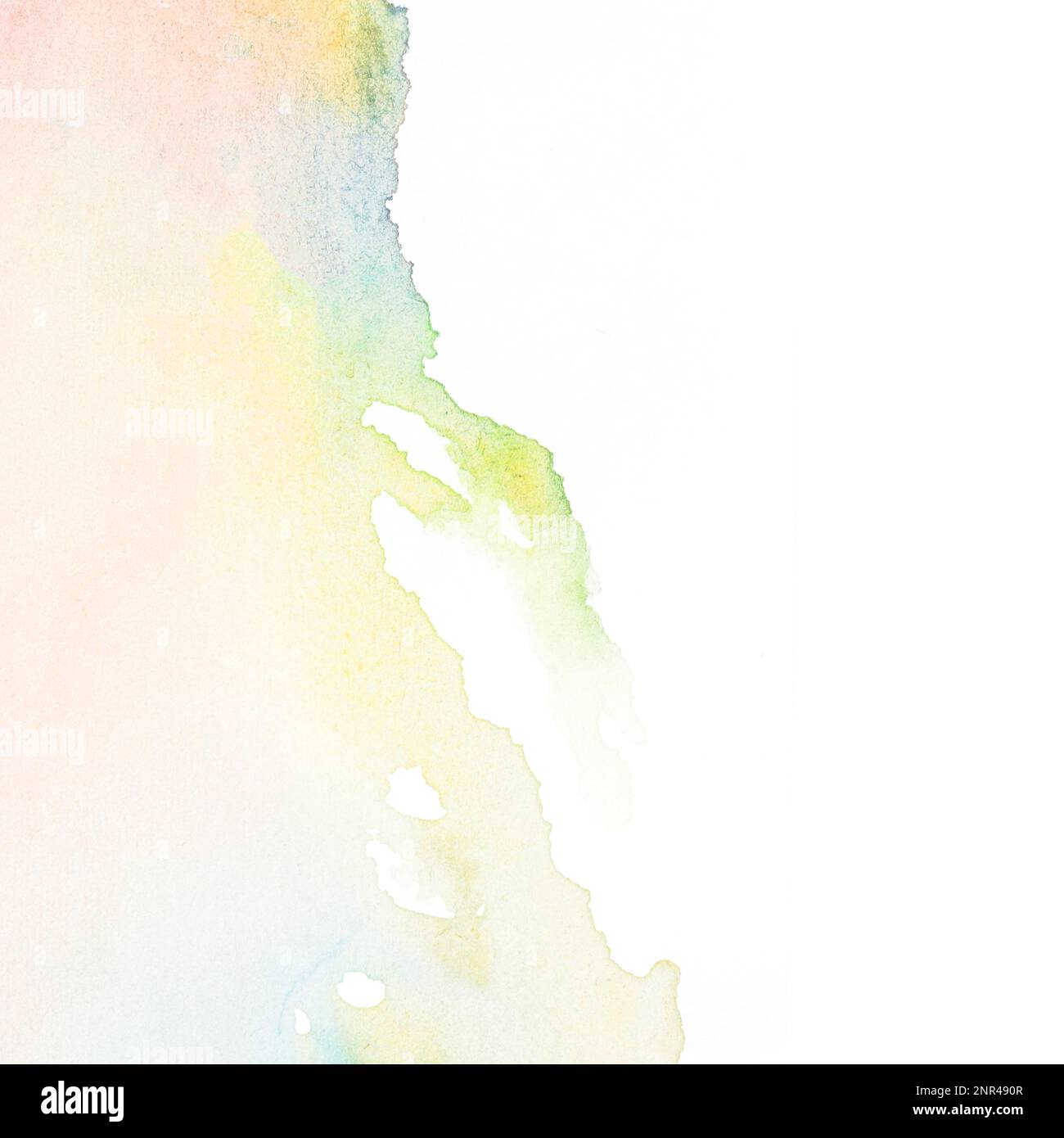 Linden tree watercolor hi-res stock photography and images - Alamy