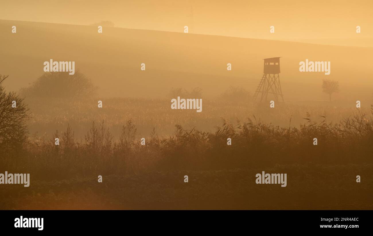 Beautiful Moravian fields with avenues of trees shrouded in morning fog ...