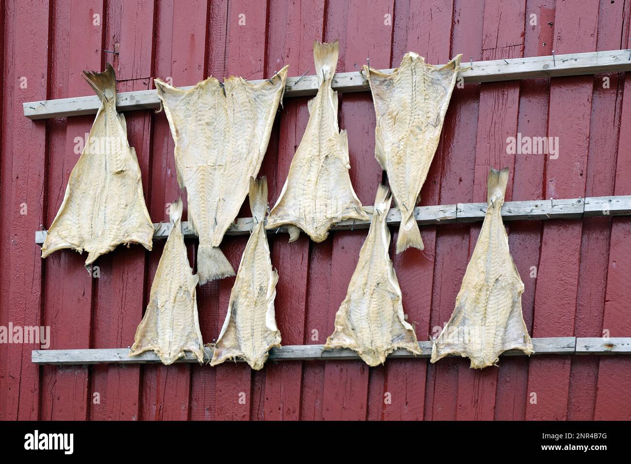 Fish are traditionally hung to dry on the outside facades of a house ...