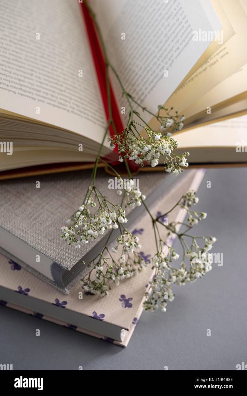 Closed open book hi-res stock photography and images - Alamy