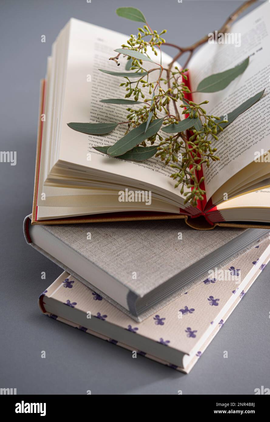 Three books with branch, grey background, still life Stock Photo - Alamy