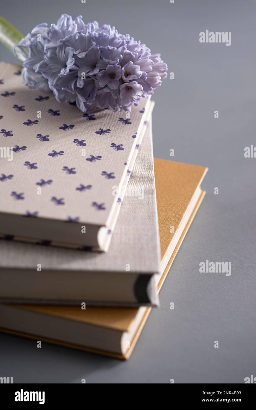 Three books with lilac, grey background, still life Stock Photo - Alamy