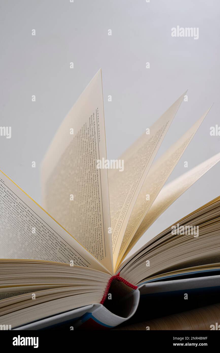 Book open close up hi-res stock photography and images - Alamy