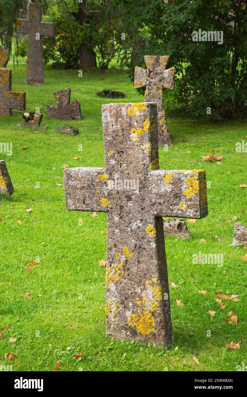 Moss and lichen growth covered stone crosses on graves in cemetery at ...
