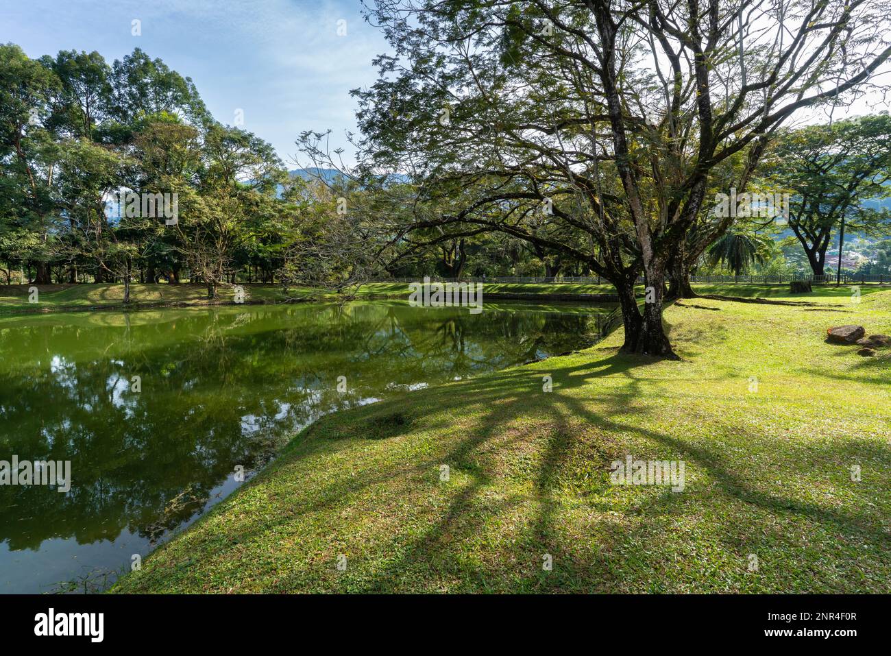 Beautiful Taiping Lake Gardens in Malaysia. Tranquil and serene ...