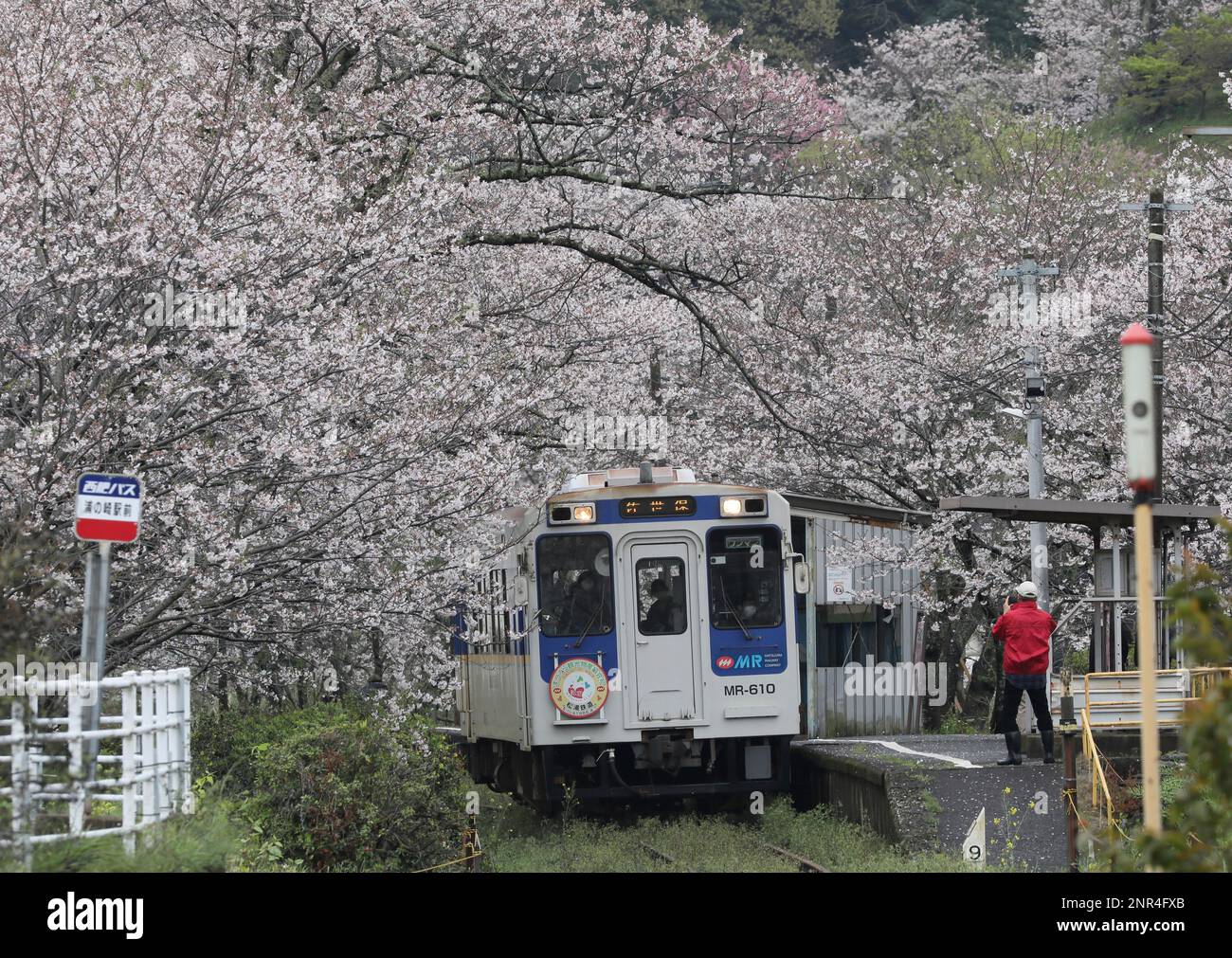 Imari saga hi-res stock photography and images - Alamy