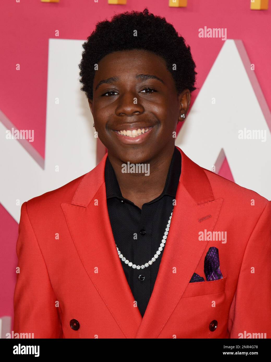 25 February 2023 - Pasadena, California - Elisha EJ Williams. 54th NAACP Image Awards at ...