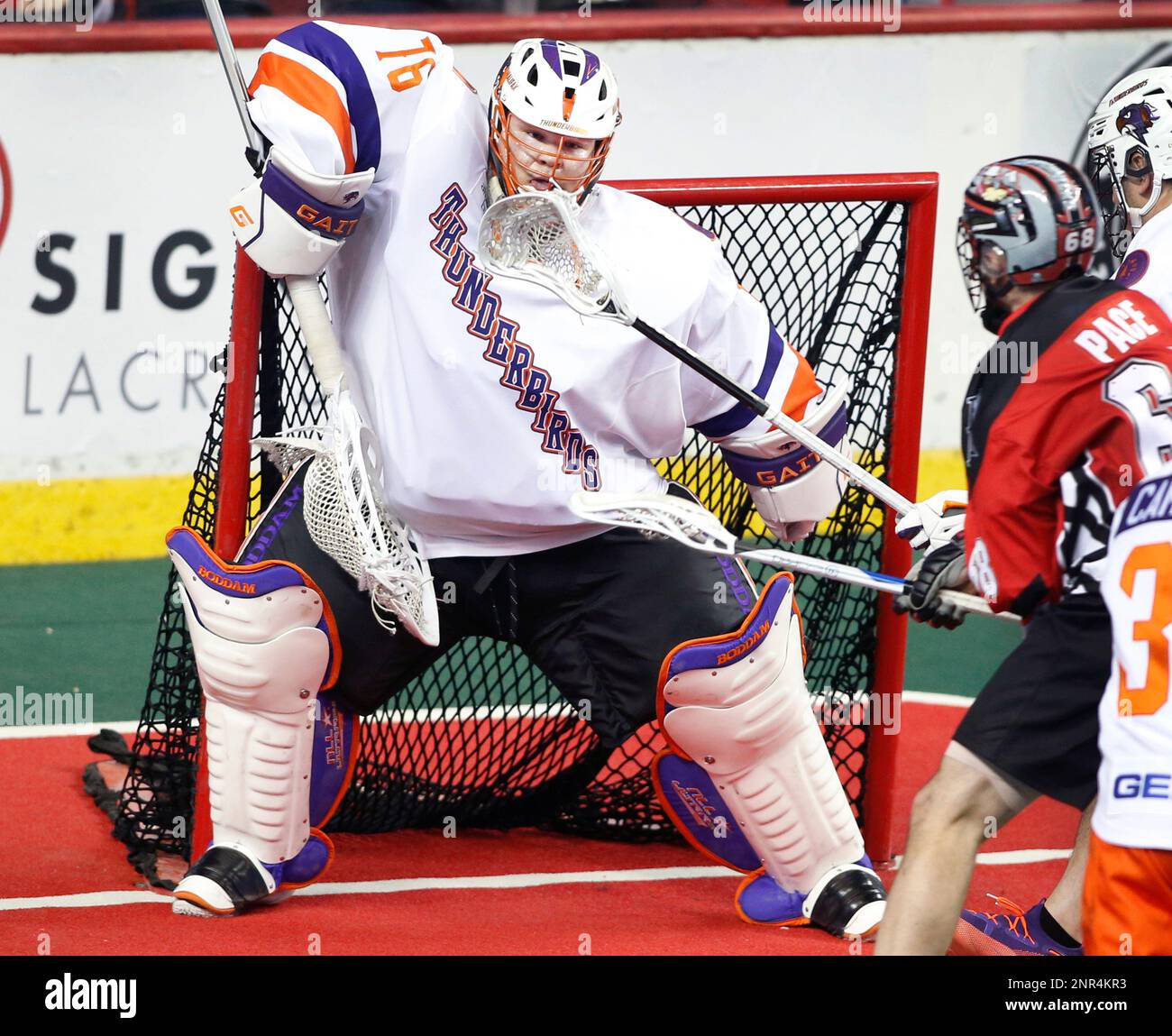NLL (National Lacross League) profile photo on Halifax Thunderbirds ...