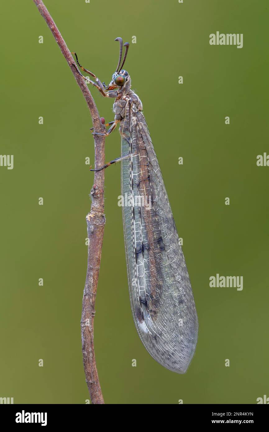 Finished river hi-res stock photography and images - Alamy