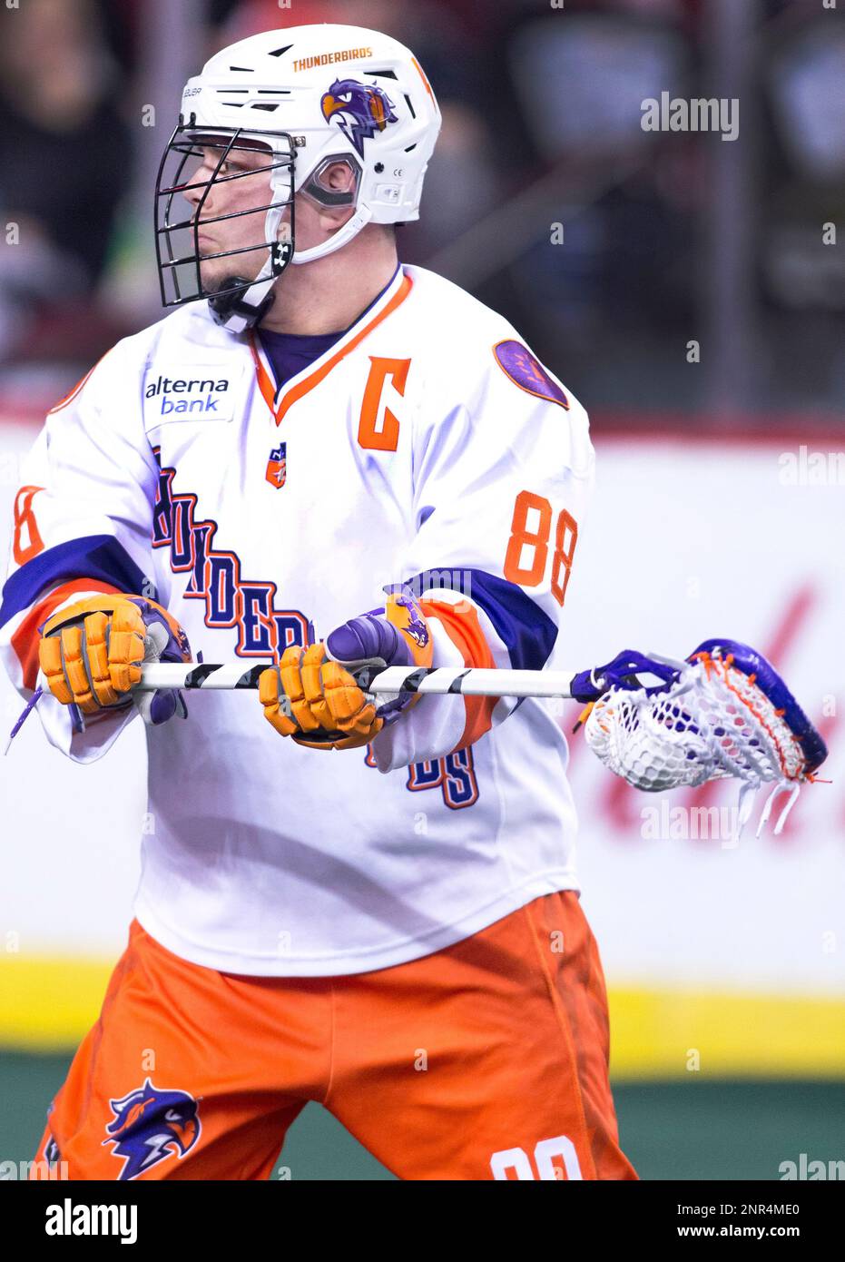 NLL (National Lacross League) profile photo on Halifax Thunderbirds ...