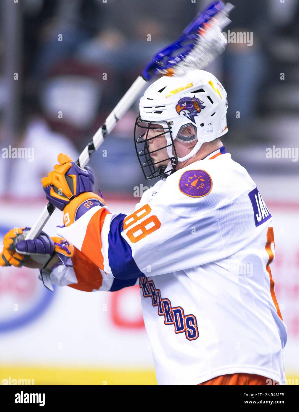 NLL (National Lacross League) profile photo on Halifax Thunderbirds ...