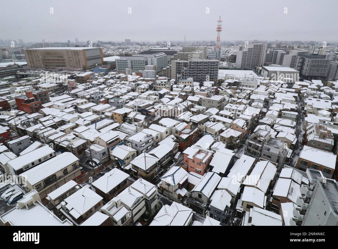 Roofs are covered with snow in Itabashi ward, Tokyo on March 29, 2020 ...