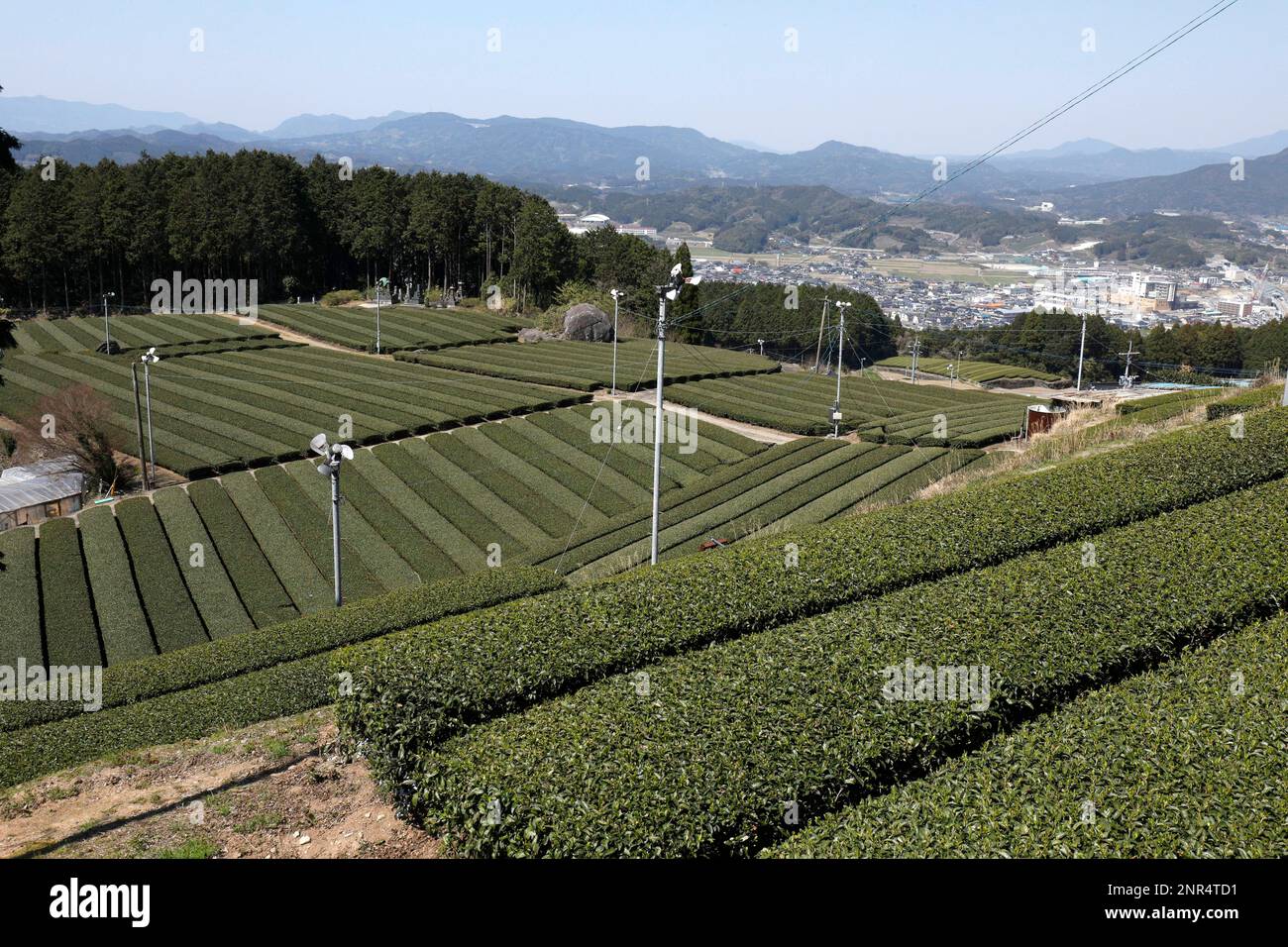 People enjoy a tea ceremony set up at an altitude of 200 meters of a ...