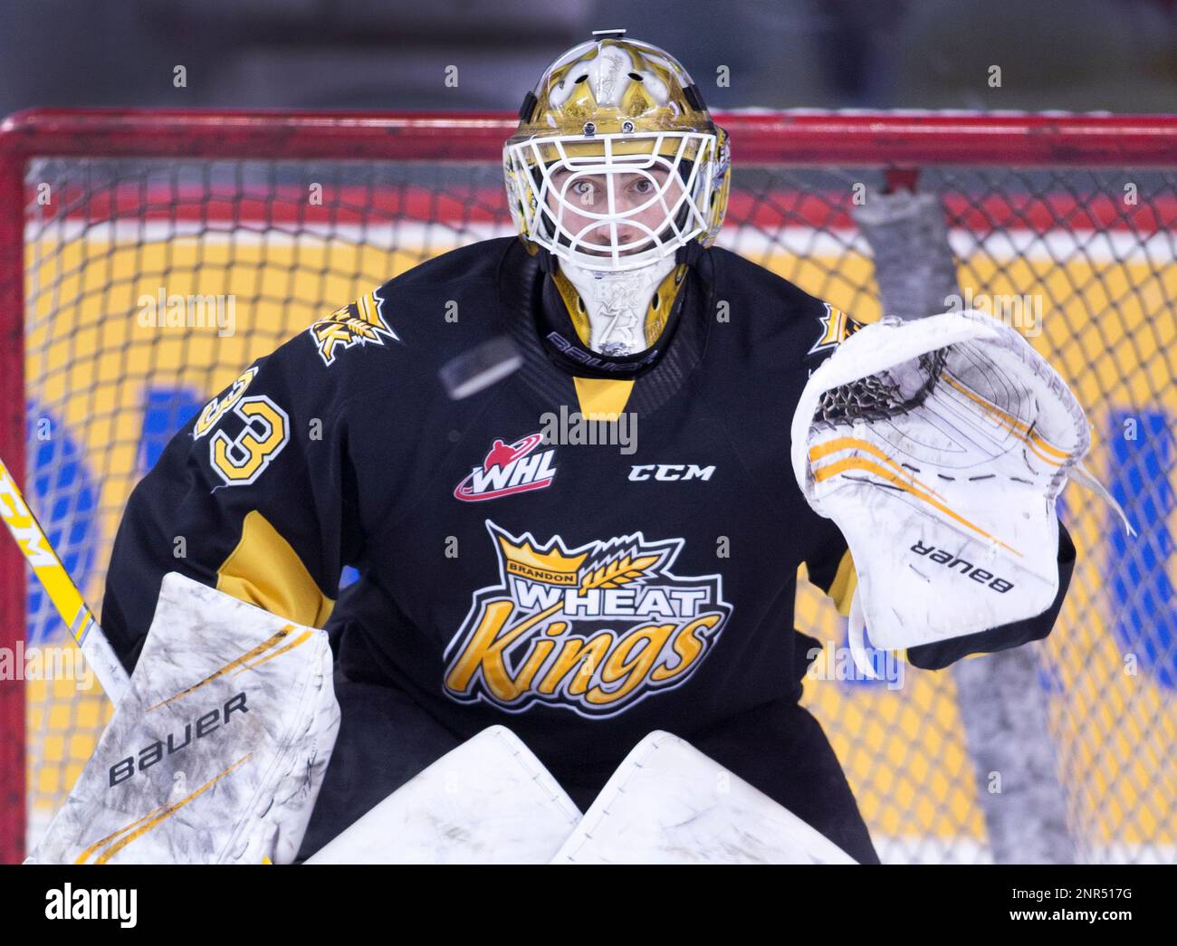 WHL (Western Hockey League) profile photo on Brandon Wheat Kings goalie ...