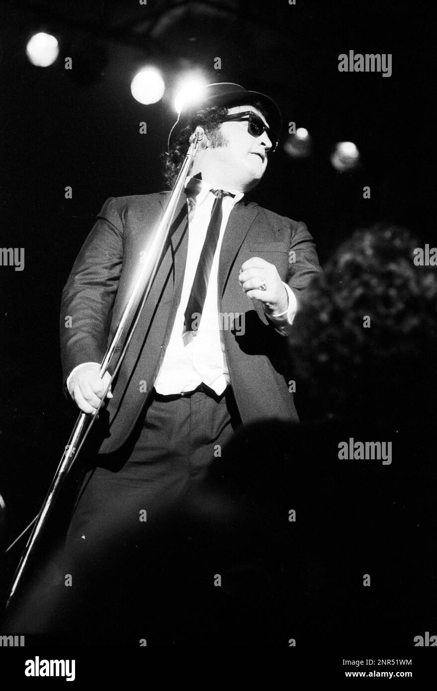 San Francisco, CA - 1978: John Belushi of the Blues Brothers performs ...