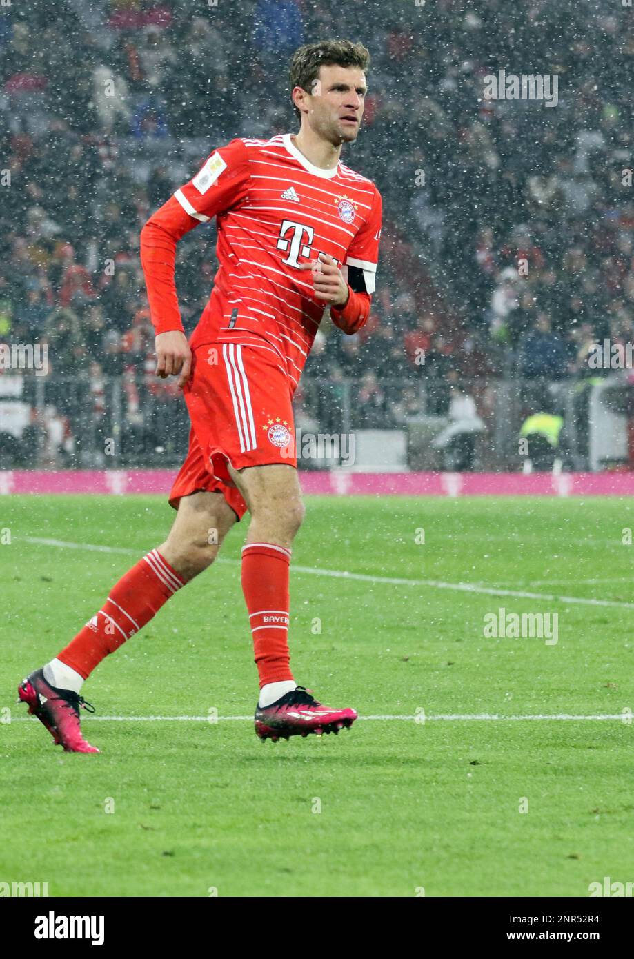 25 thomas myller hi-res stock photography and images - Alamy