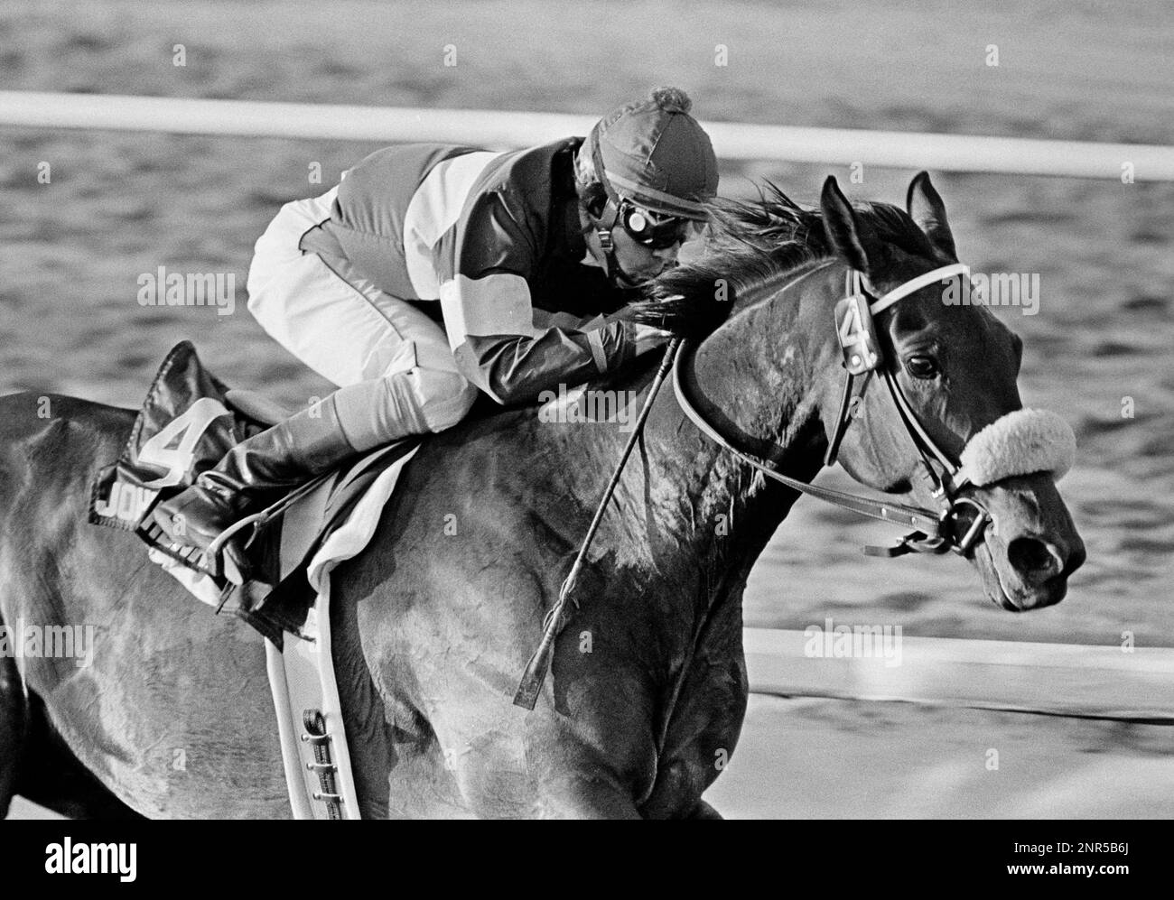 John Henry ridden by jockey Darrel McHargue wins the 9 furlong San ...