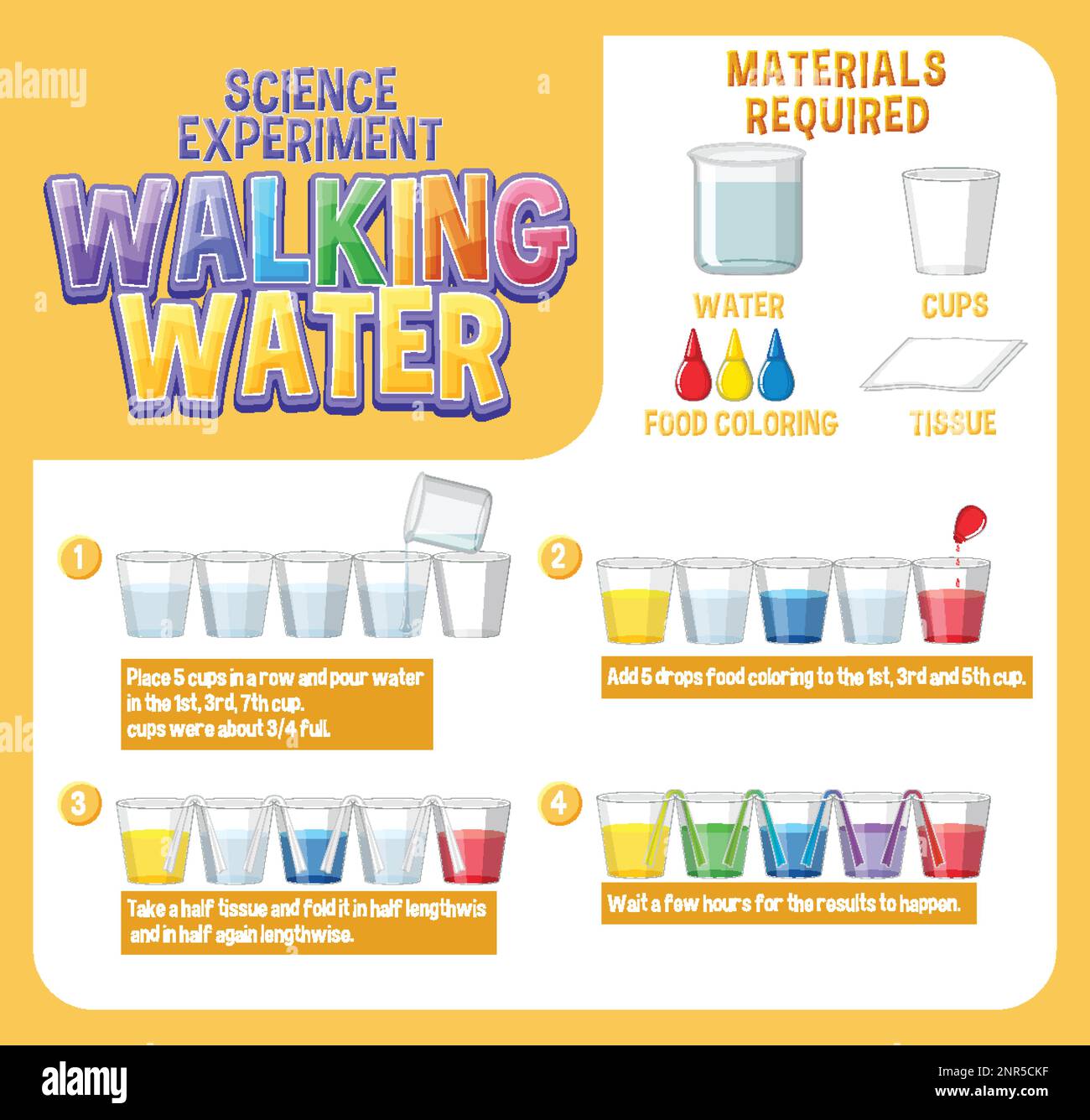 Walking water science experiment illustration Stock Vector Image & Art ...