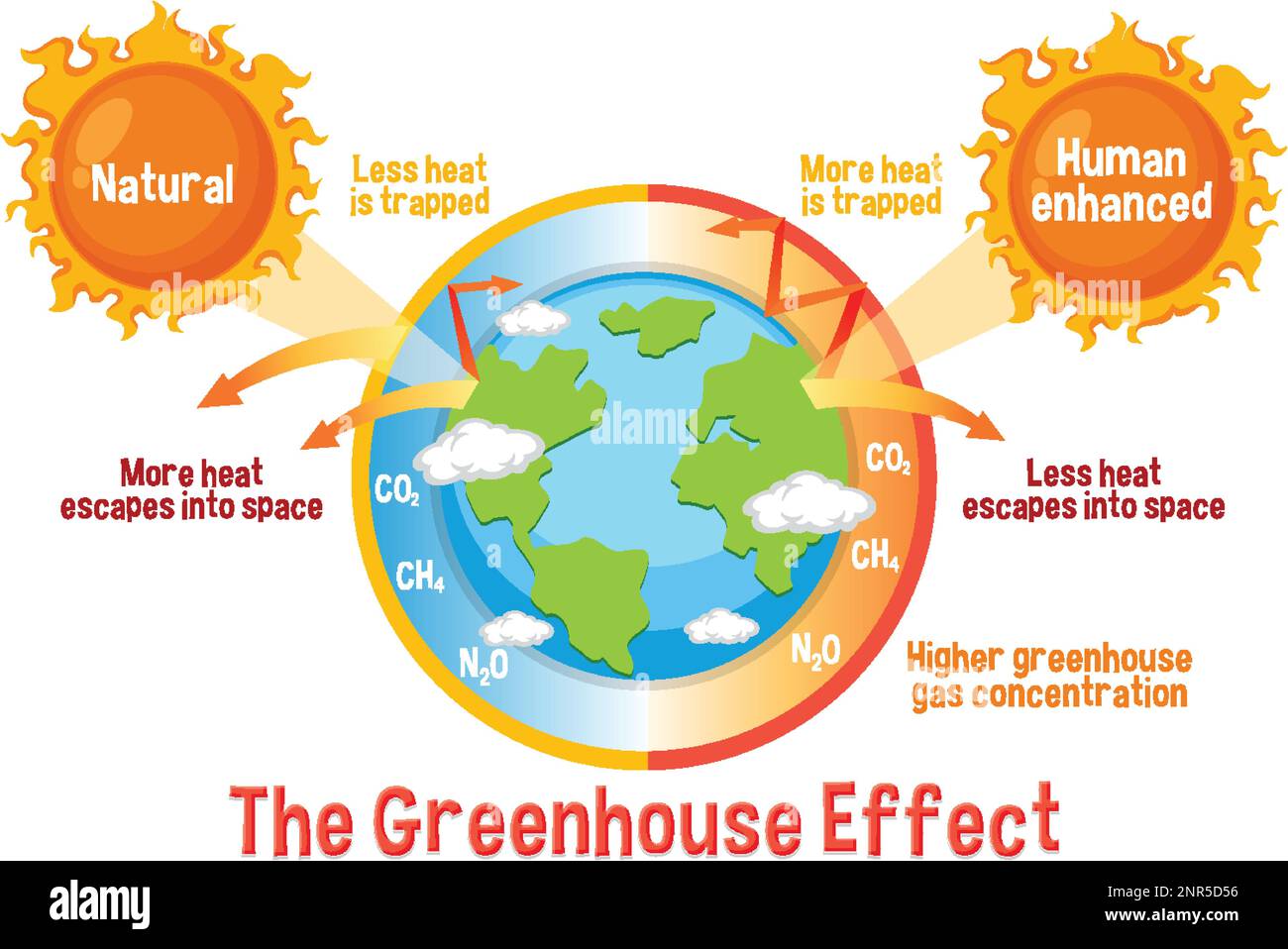 Diagram showing the greenhouse effect illustration Stock Vector Image ...