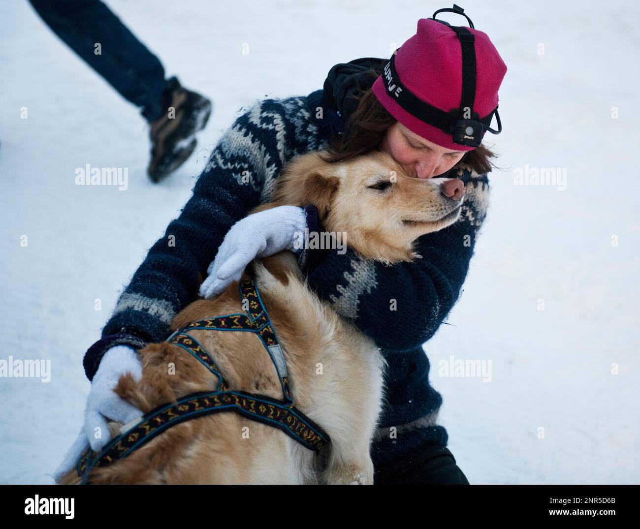 Ida Mortensen kisses one of Brent Sass's dogs after they finished the ...