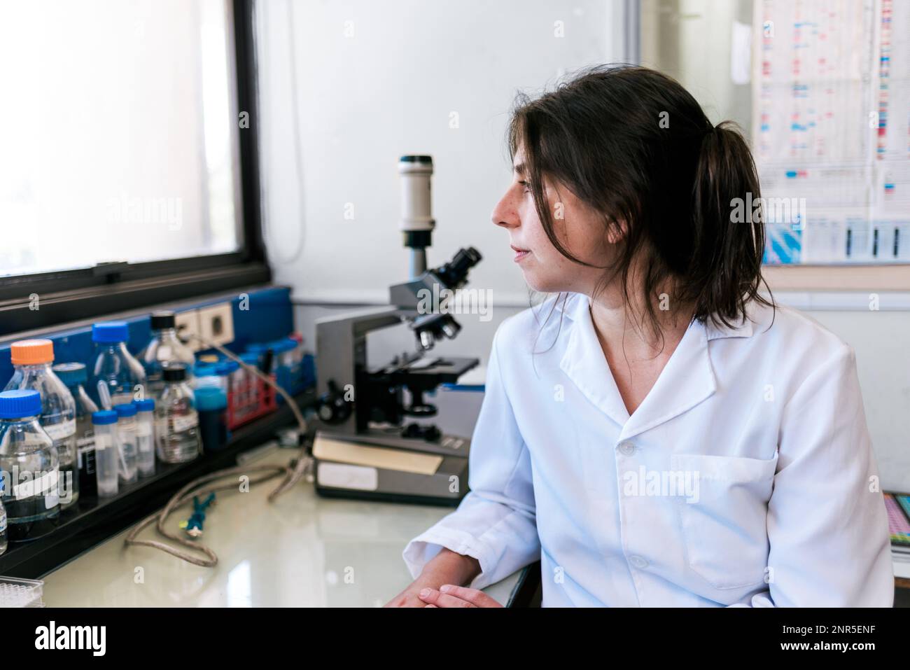 Female scientist in the laboratory Stock Photo - Alamy