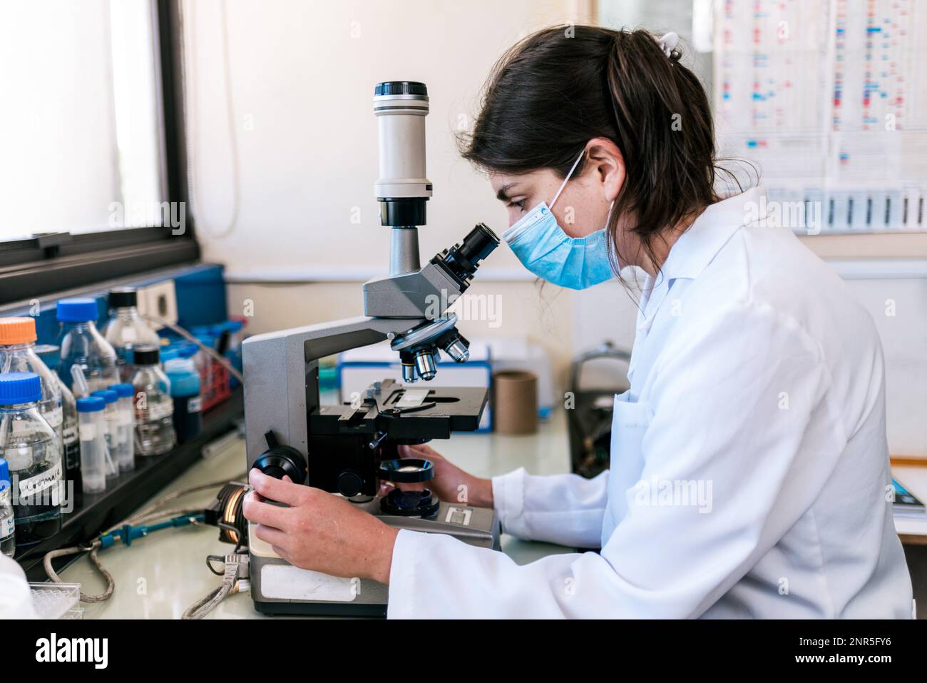 Female Scientist Using Microscopy in Laboratory Stock Photo - Alamy