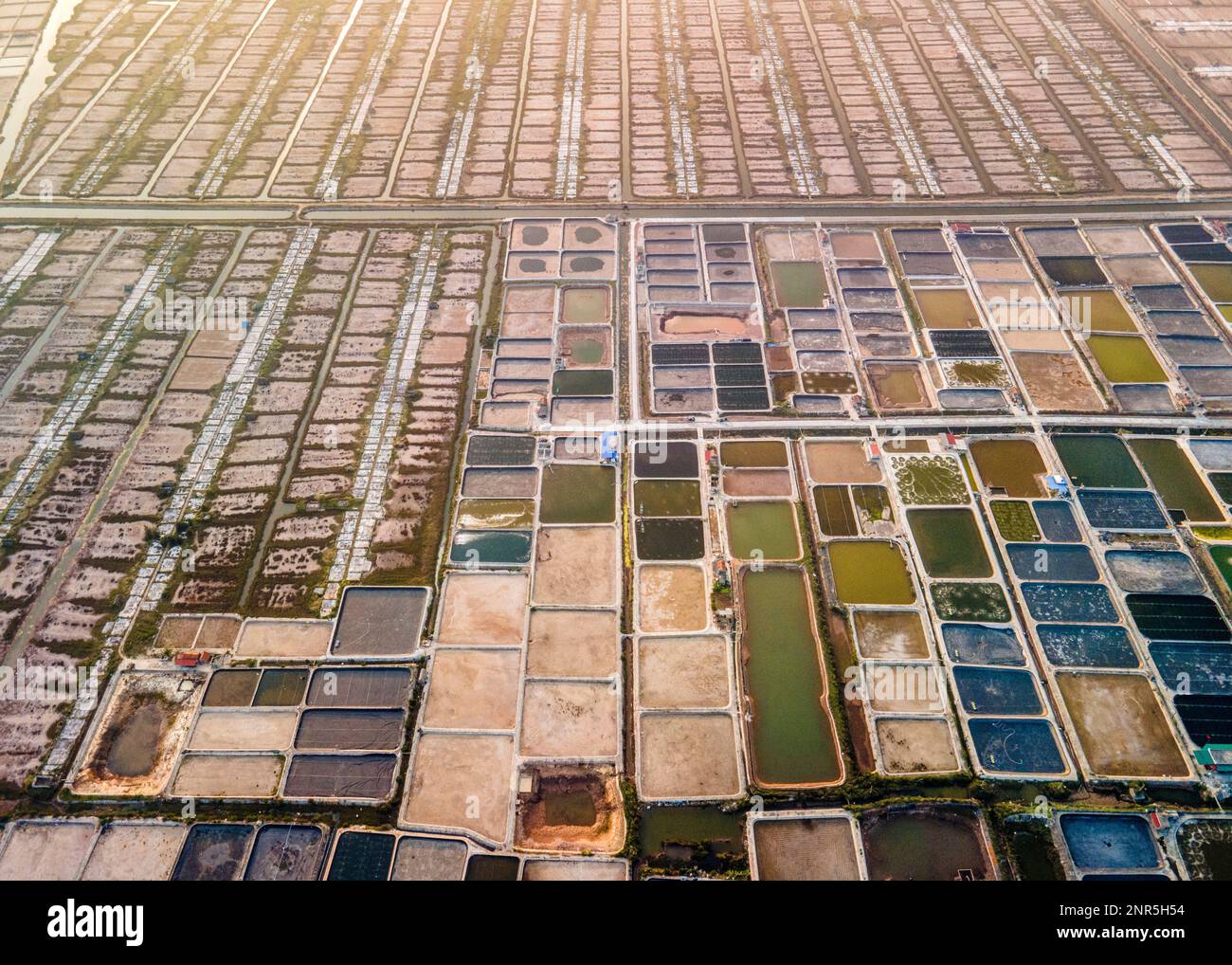 Shrimp farming in net hi-res stock photography and images - Alamy