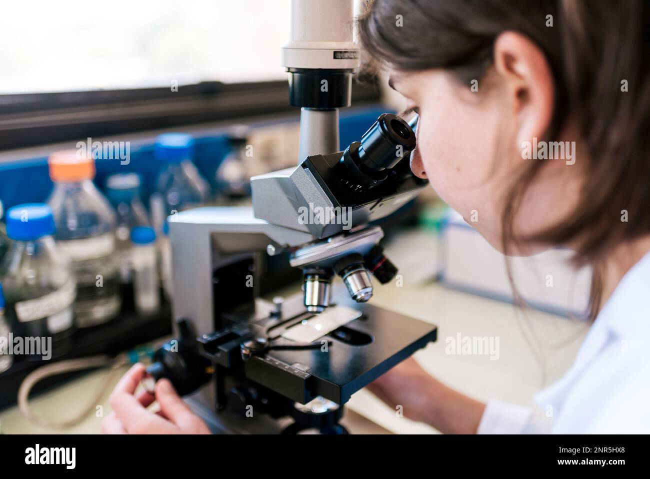 Female Scientist Using Microscopy in Laboratory Stock Photo - Alamy