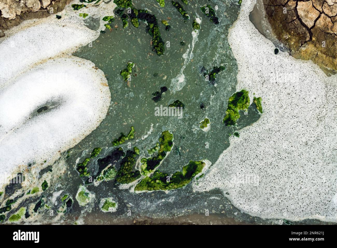 Top view of wastewater with air bubbles and moss flowing through a ...