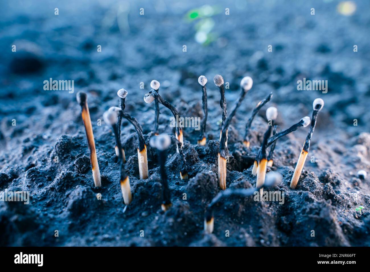 The problem of heating in the cold season and the extraction of ...