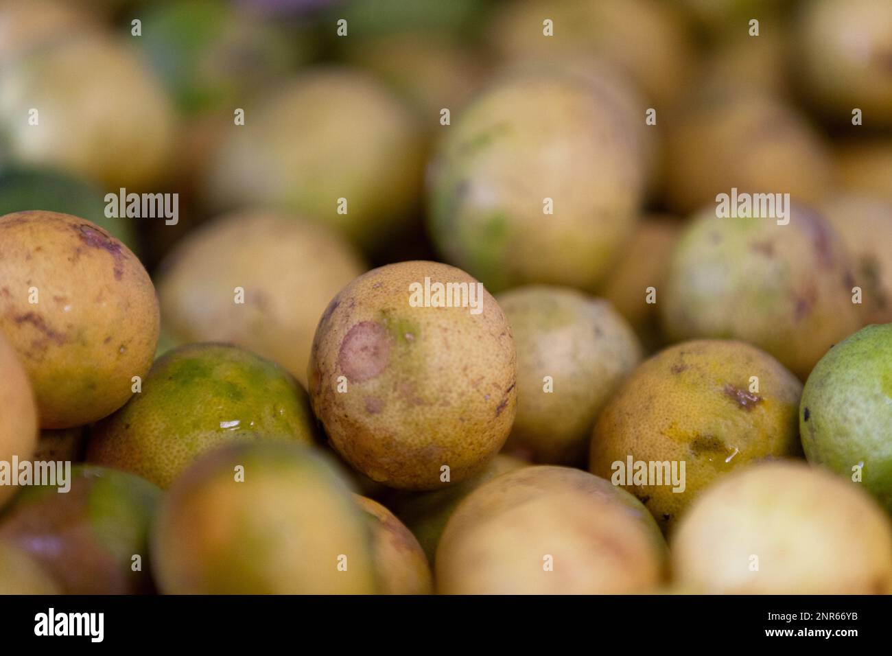 Full frame close up on a stack of key limes on a market stall Stock ...