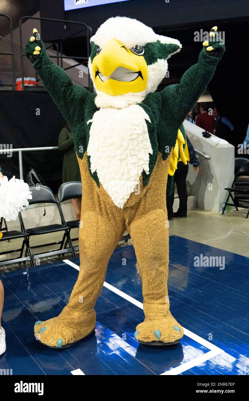 WASHINGTON, DC - MARCH 08: The William and Mary Tribe mascot poses for ...