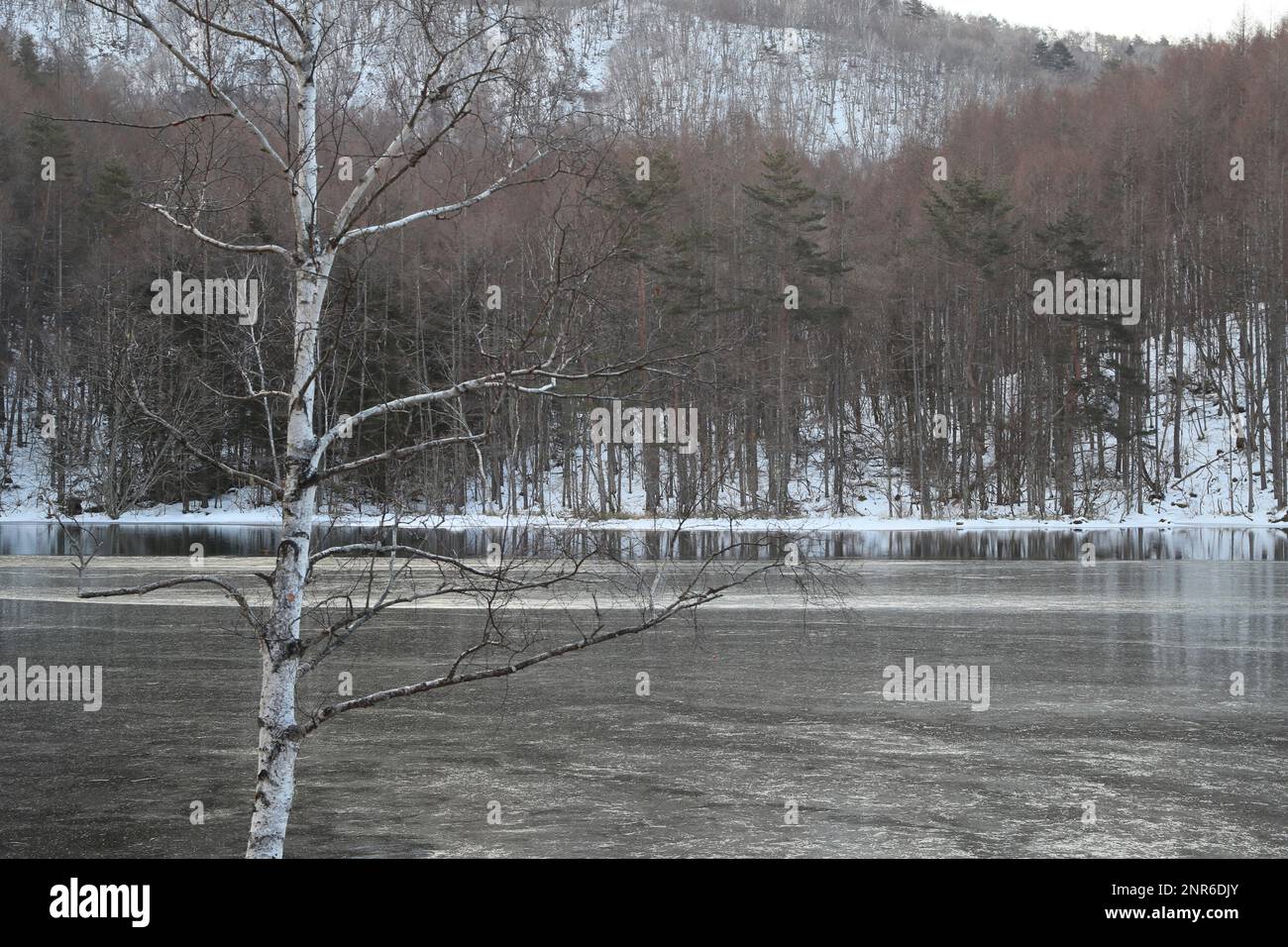Mishaka Pond is pictured in Chino, Nagano Prefecture on Feb. 5, 2020 ...