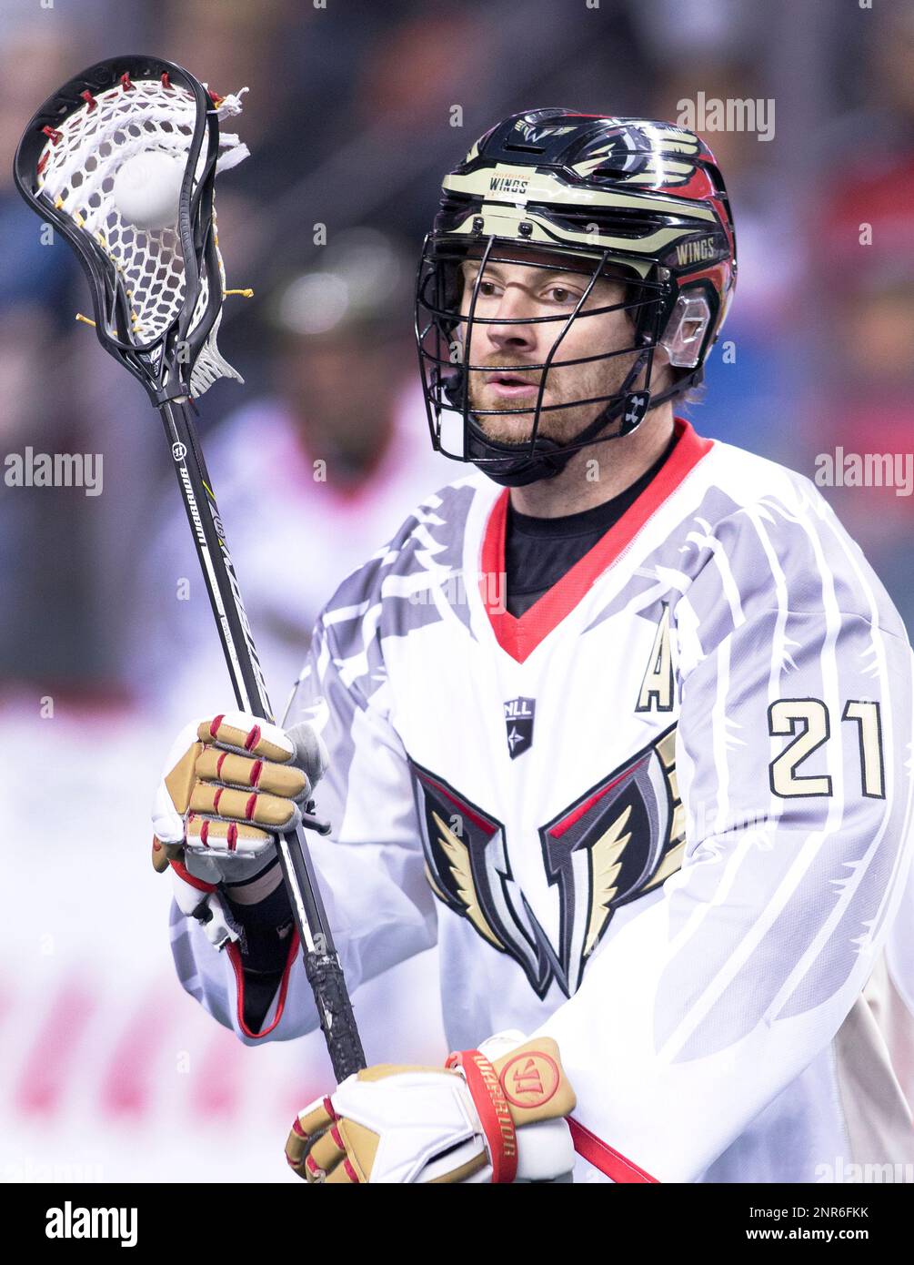 NLL (National Lacross League) profile photo on Philadelphia Wings ...