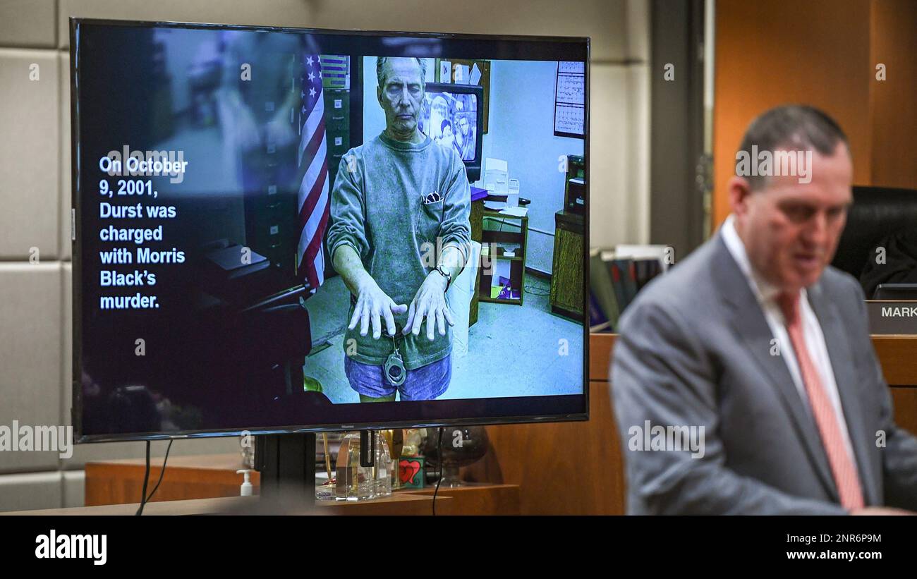 Deputy District Attorney John Lewin gestures during the second day of ...