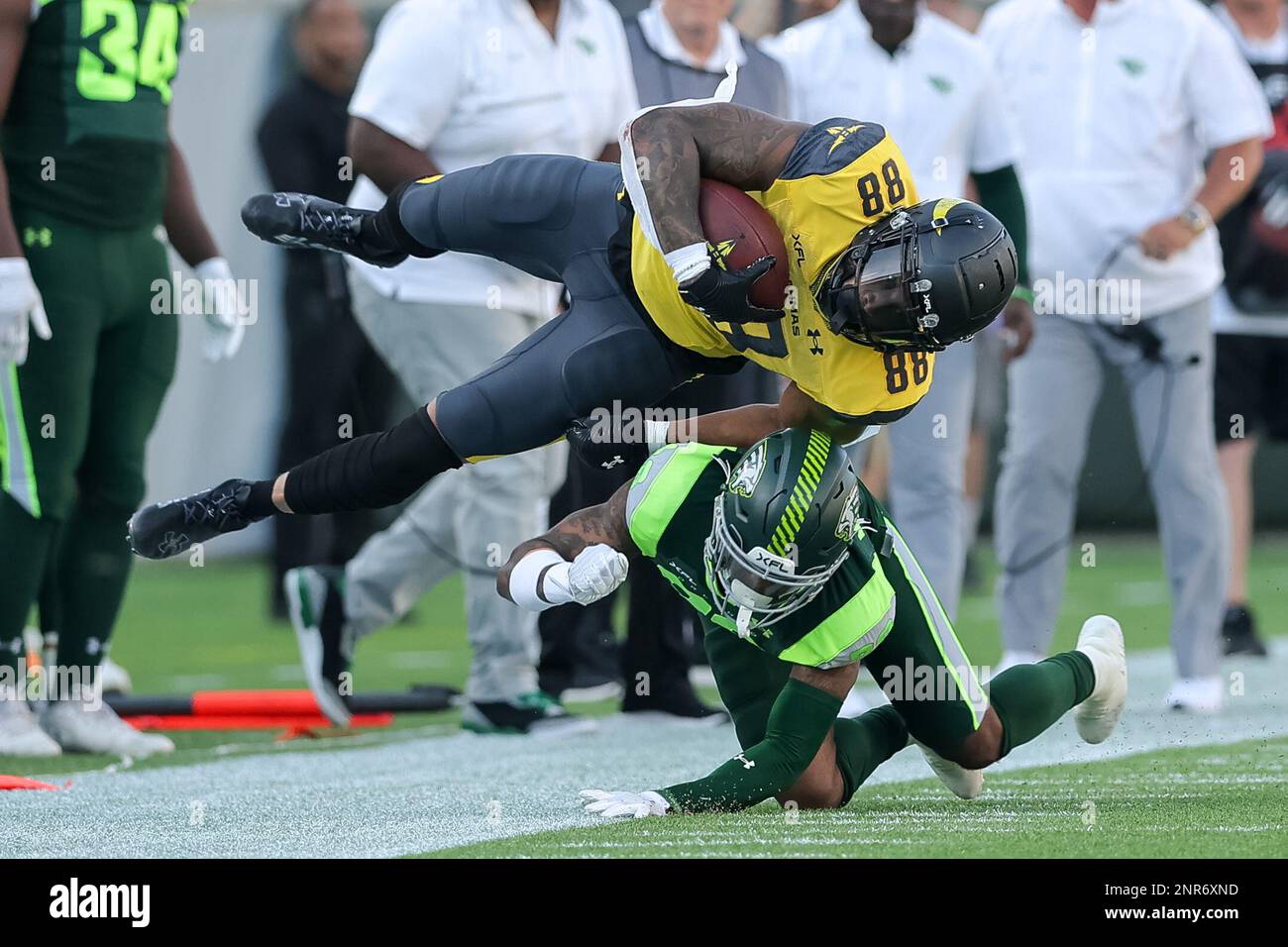 Brahmas xfl hi-res stock photography and images - Alamy