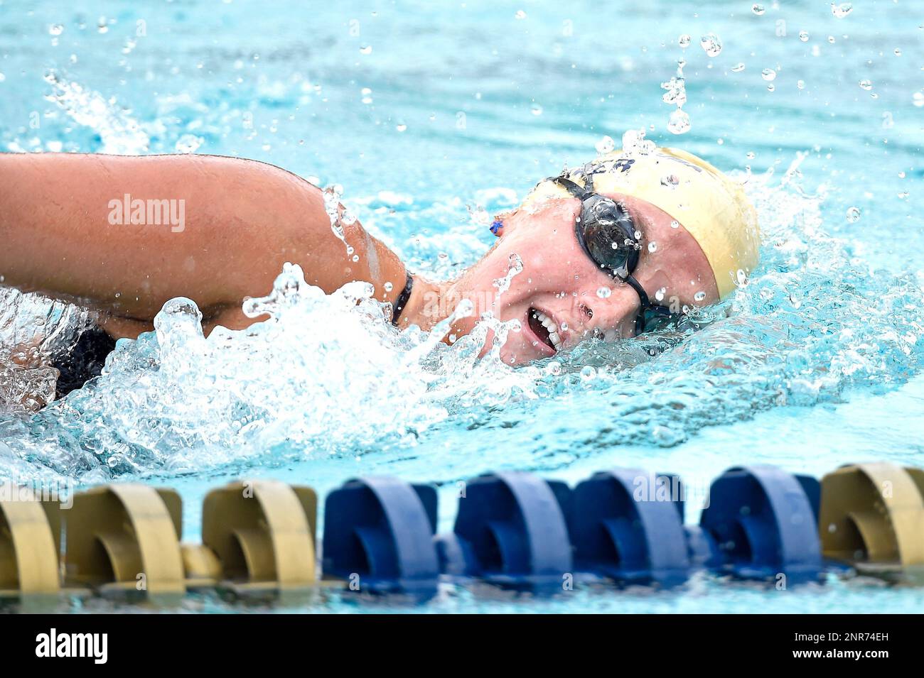 MIAMI, FL - FEBRUARY 01: FIU's Rachel Whitaker competes in the 500 yard ...