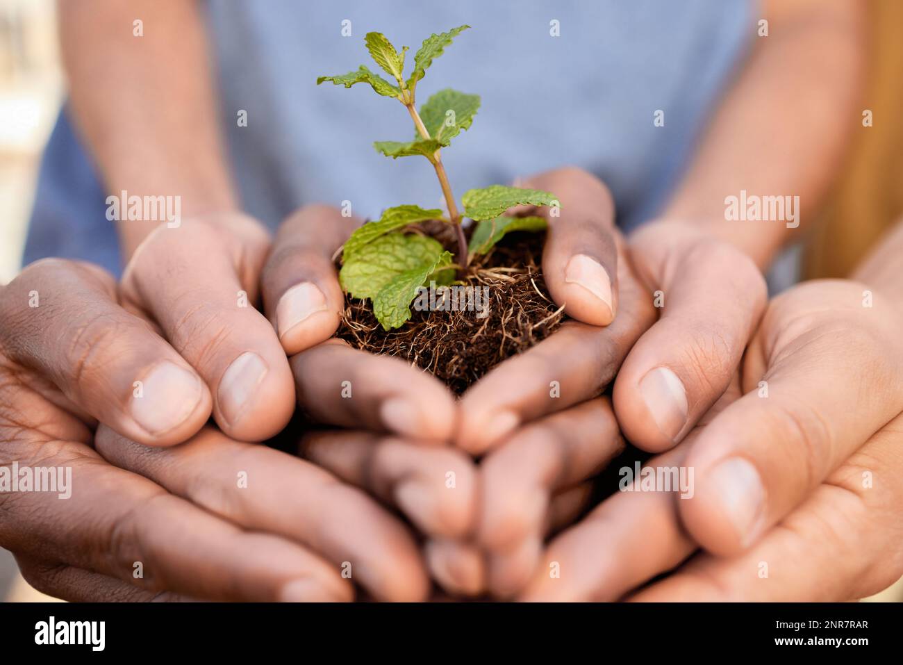 Plants, people and hands of teamwork, support and charity for earth day ...
