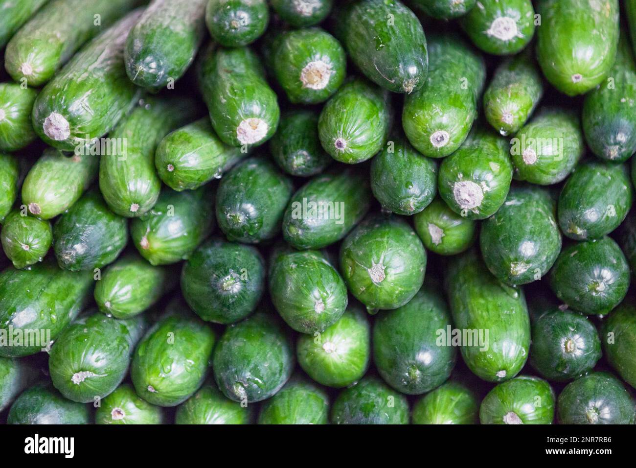 Full frame close up on a stack of small cucumbers on a market stall ...