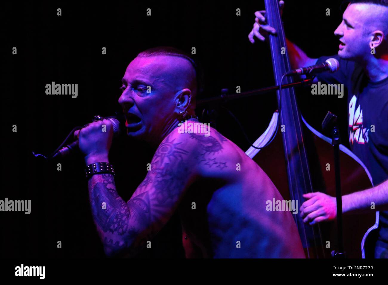 PR - Curitiba - 02/23/2020 - Psycho Carnival 2020 - The Cenobites ...