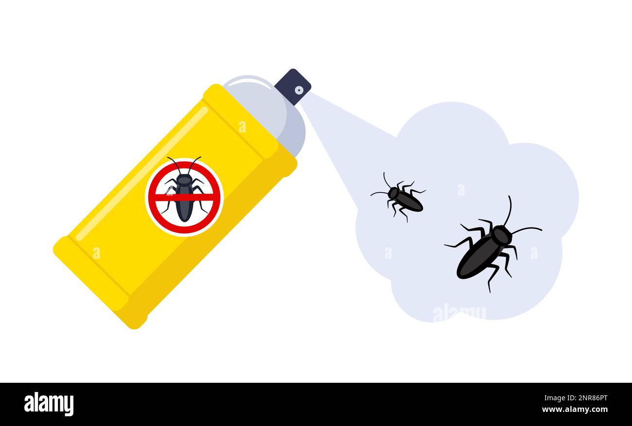 Spraying insecticide on cockroach. Pest control. Aerosol for bug bite ...