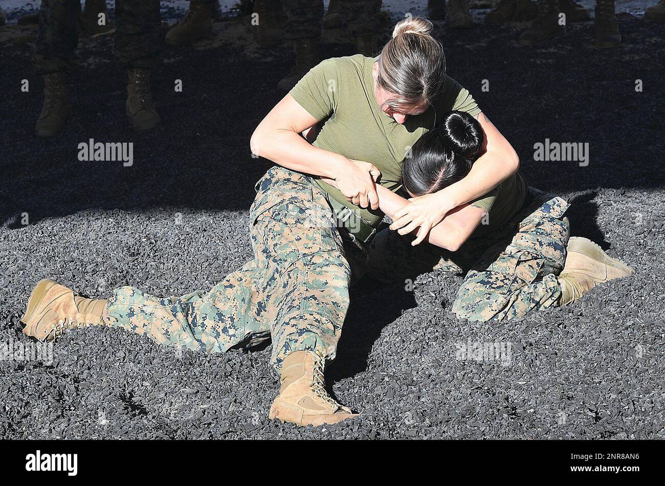 Marines with Marine Aviation Logistics Squadron 13 (MALS-13) and Marine ...