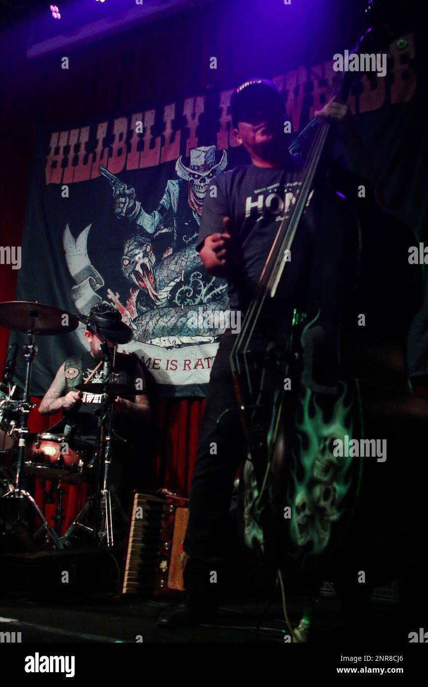 PR - Curitiba - 20/02/2020 - Psycho Carnival 2020 - Bassist Big Bugsy ...